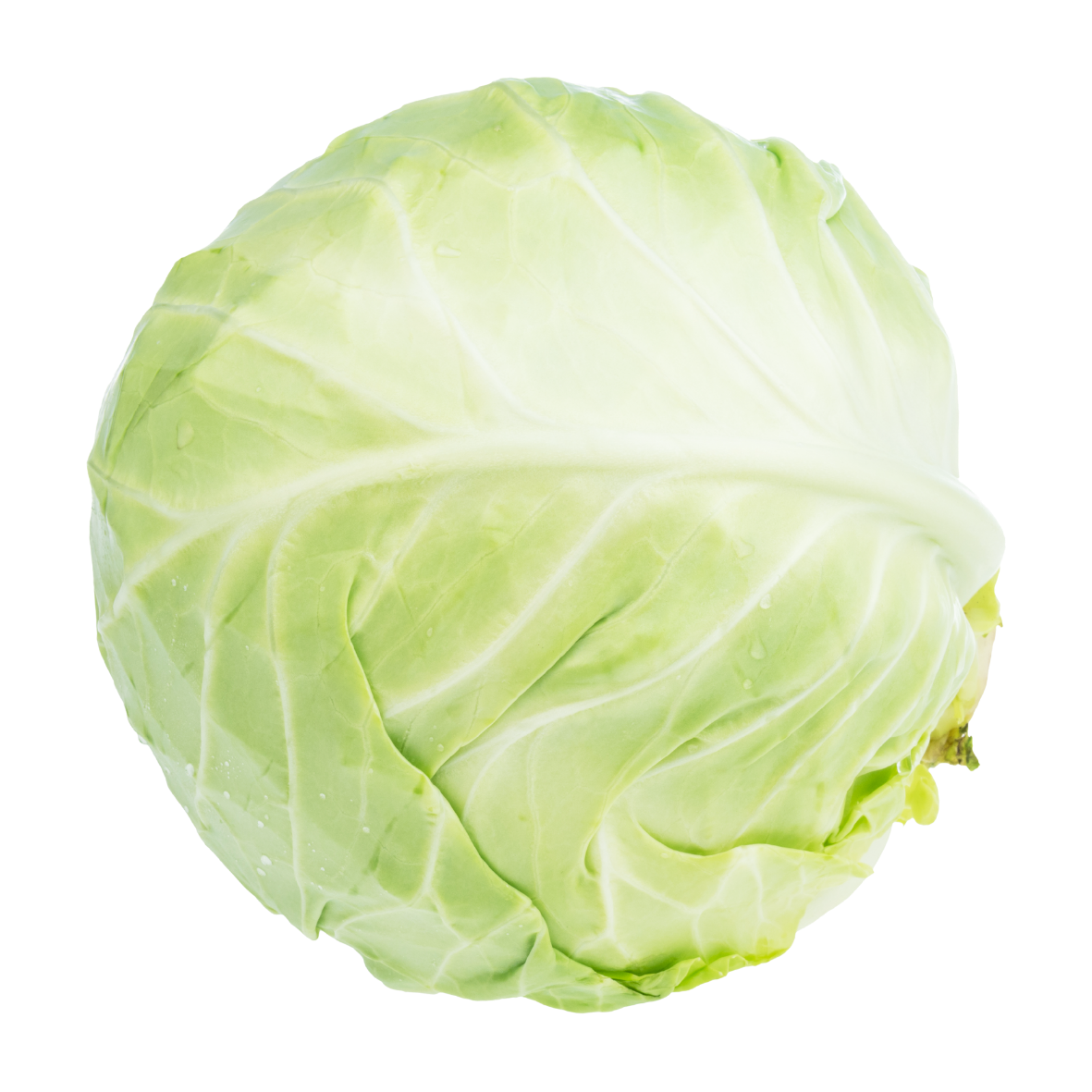Weißkohl | EDEKA - Unsere Heimat